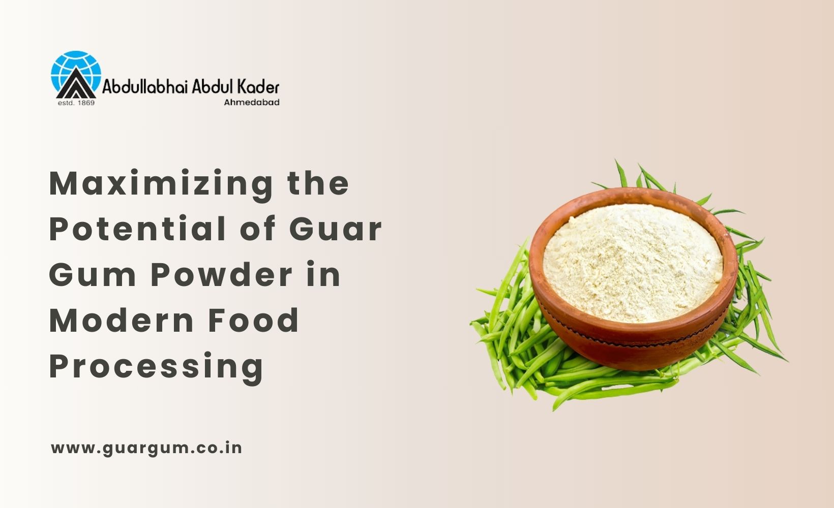 Maximizing the Potential of Guar Gum Powder in Modern Food Processing