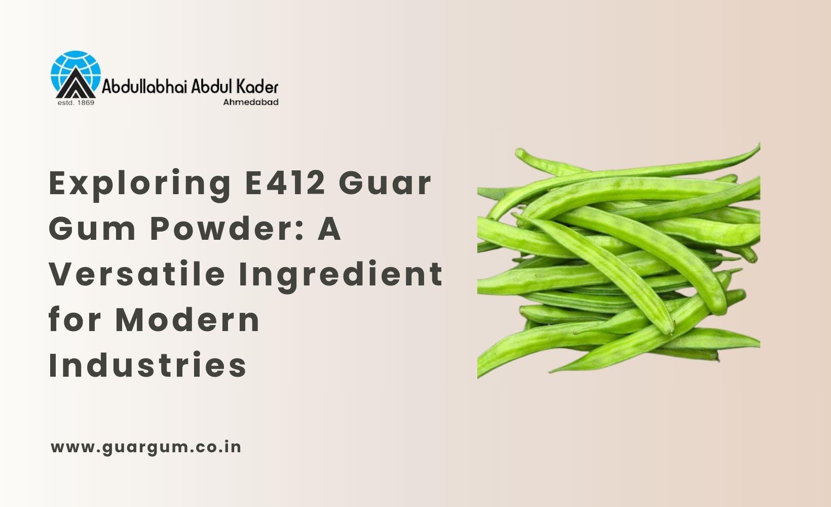 Exploring E412 Guar Gum Powder: A Versatile Ingredient for Modern ...