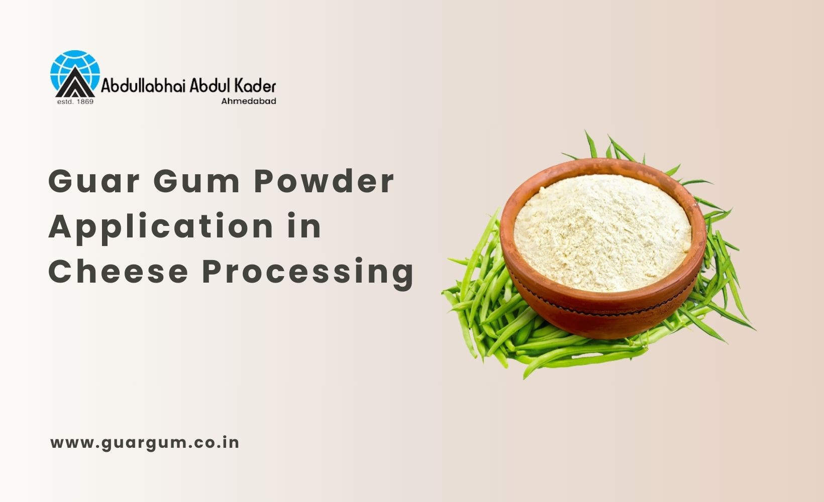 Guar Gum Powder Application in Cheese Processing