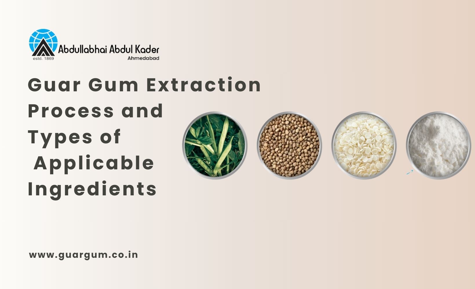 Guar Gum Extraction Process and Types of Applicable Ingredients
