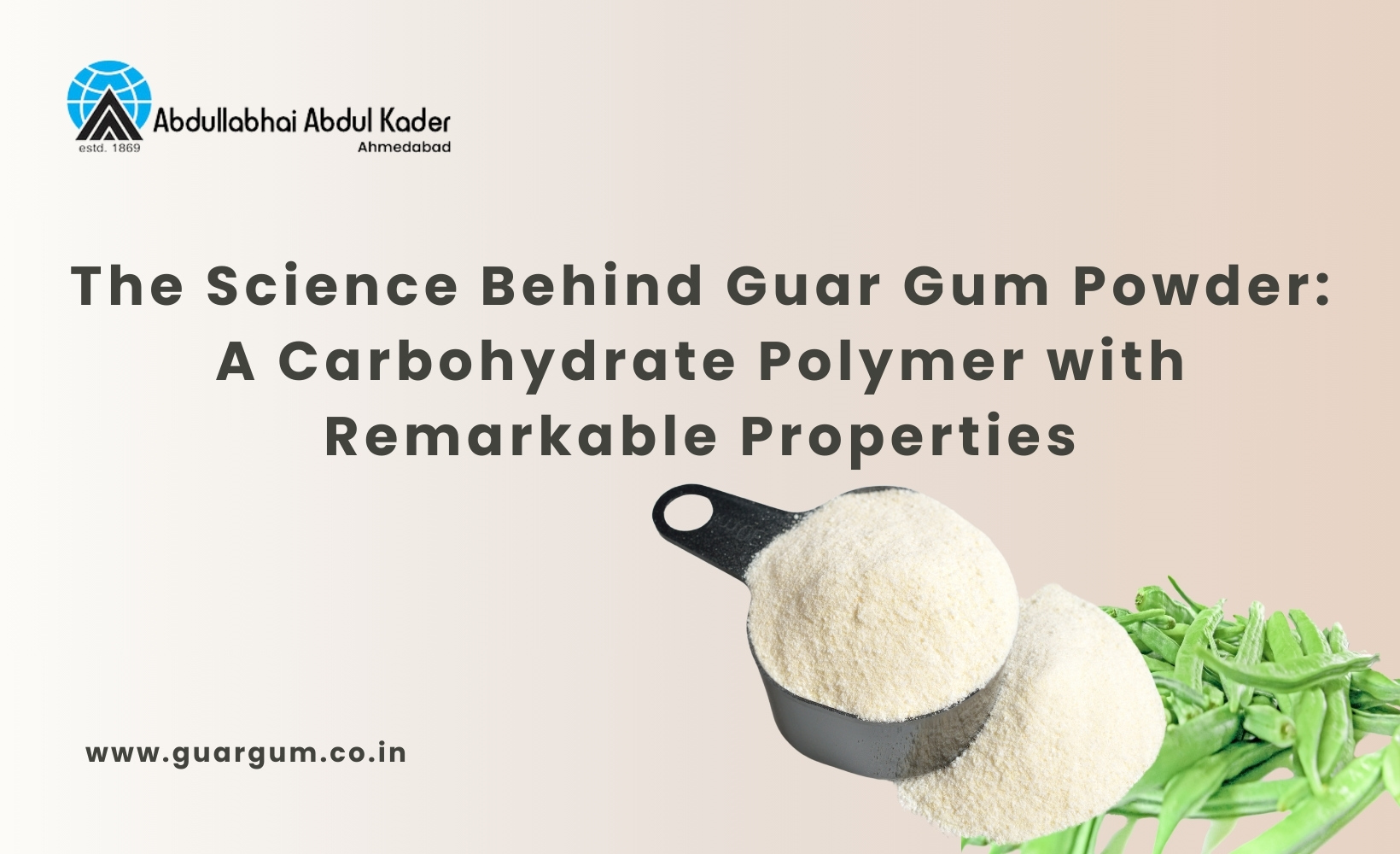The Science Behind Guar Gum Powder: A Carbohydrate Polymer with ...