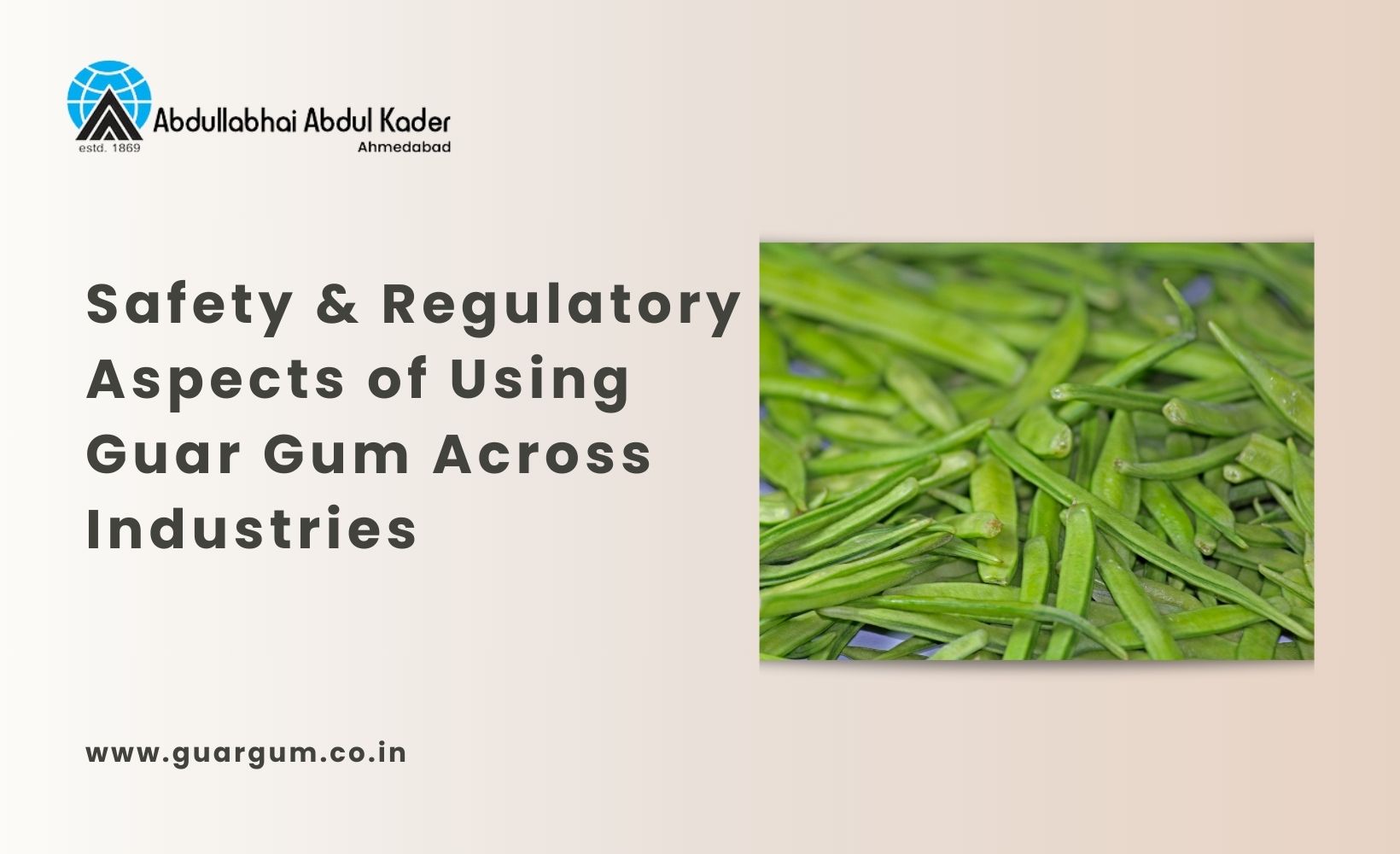 Guar Gum Safety & Regulatory Standards Explained