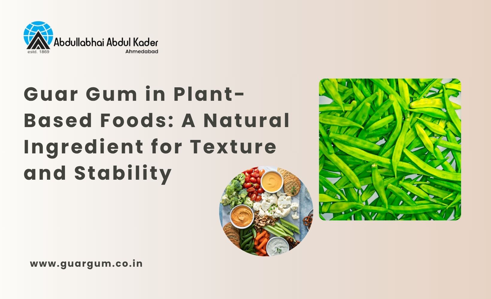 Natural Guar Gum in Vegan & Gluten-Free Foods | Food-Grade Supply